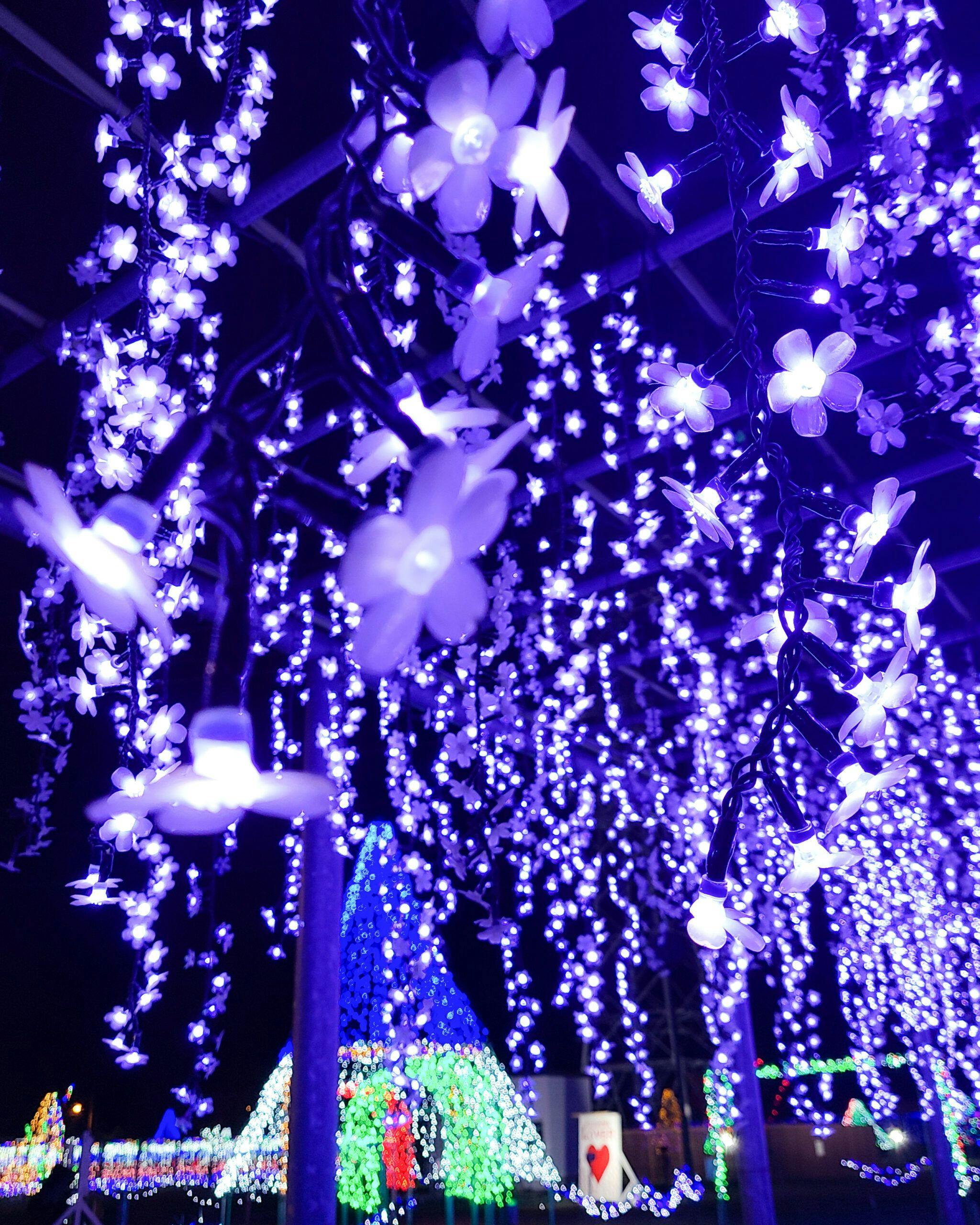 由良温泉八乙女 - 冬の特別プラン！推しのイルミネーション「Hisu花」 - 東館洋室403【Yahoo!トラベル】