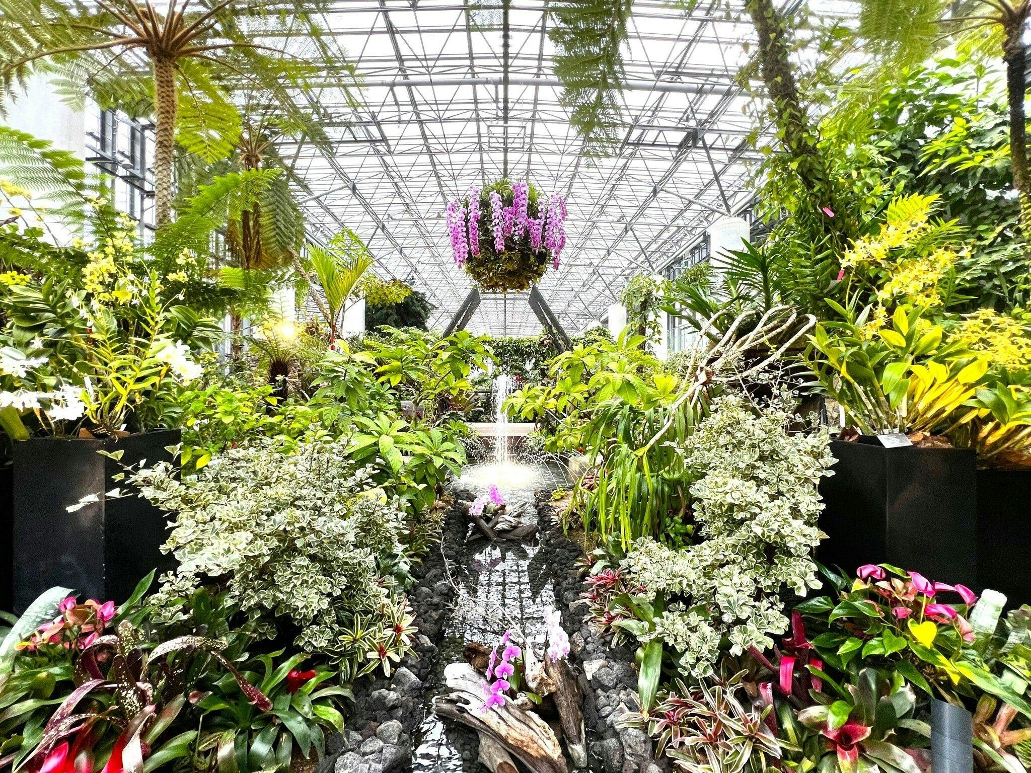 Grand Nikko Awaji - [Summer Vacation Project] Plant Observation in a ...