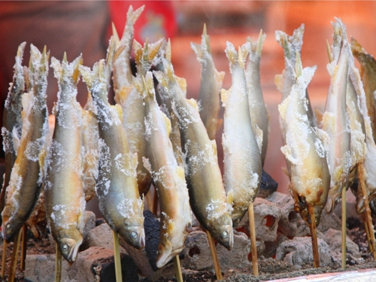 宮島温泉 滝乃荘 - 【季節限定 天然子持ち鮎プラン】丸ごと塩焼きで！ほくほく卵が美味しい、名残りの庄川鮎を楽しむ！ - 【お部屋食または個室 ...