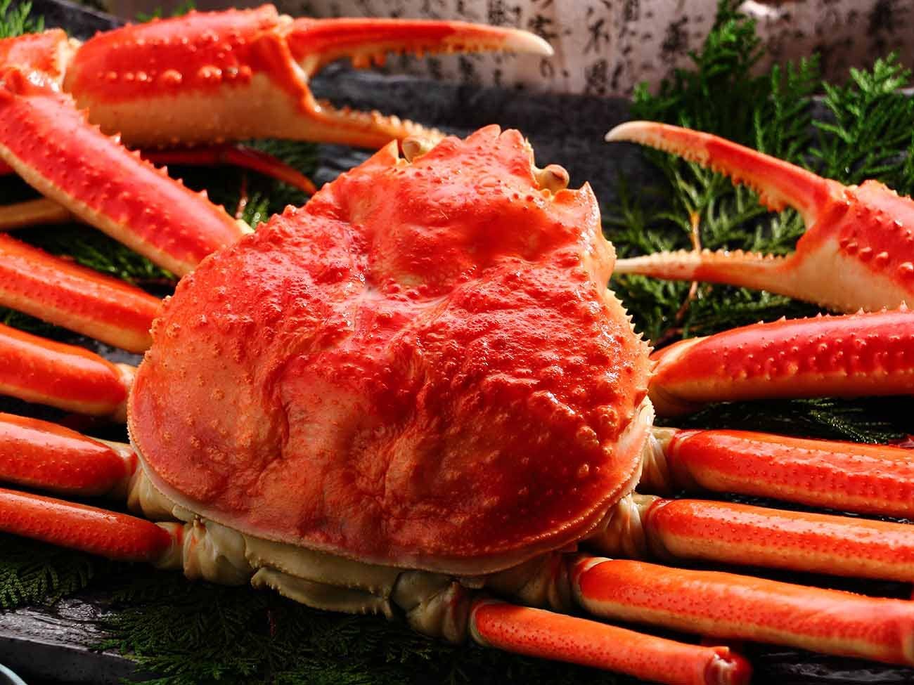 大江戸温泉物語 ホテルレオマの森 - 【特定日】【グルメプラン】本ズワイガニ姿1杯付1泊2食 基本バイキングプラン（チケットなし） - 【禁煙 ...
