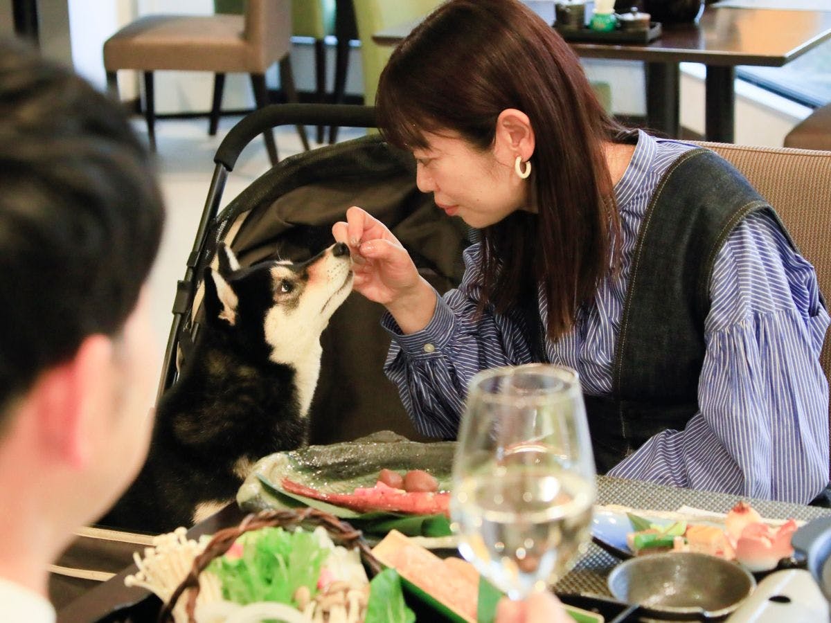 愛犬と泊まれる温泉宿 ゆるり西伊豆 - 【特選】当館人気コースを満喫／国産牛or鮑陶板焼き付き＜特選コース＞ - おまかせ客室【WiFi/禁煙 ...