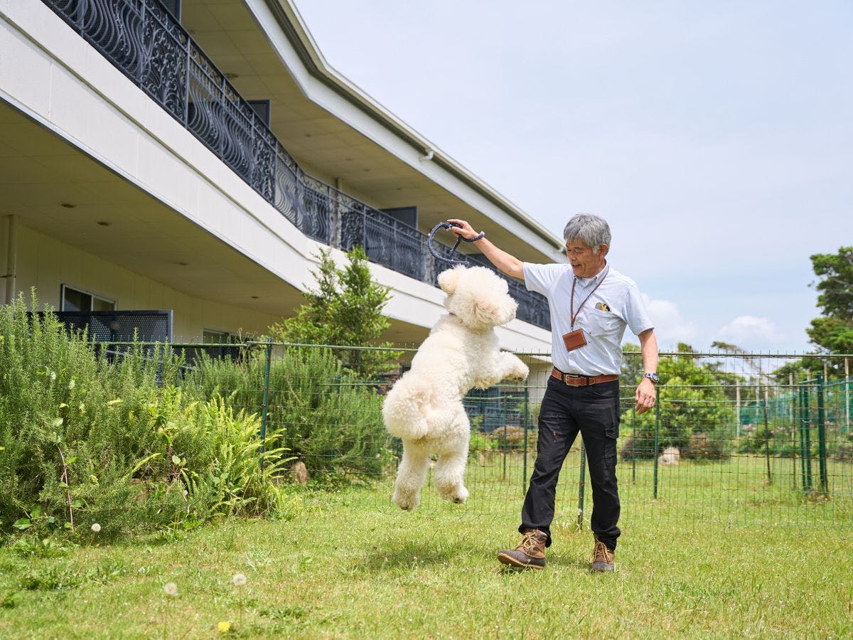 HOTEL HOLISTIC RESORT - 【ペット同宿・素泊まり】大自然の中でワンちゃんと一緒にのんびりリラックス - 1階ペット可 ...
