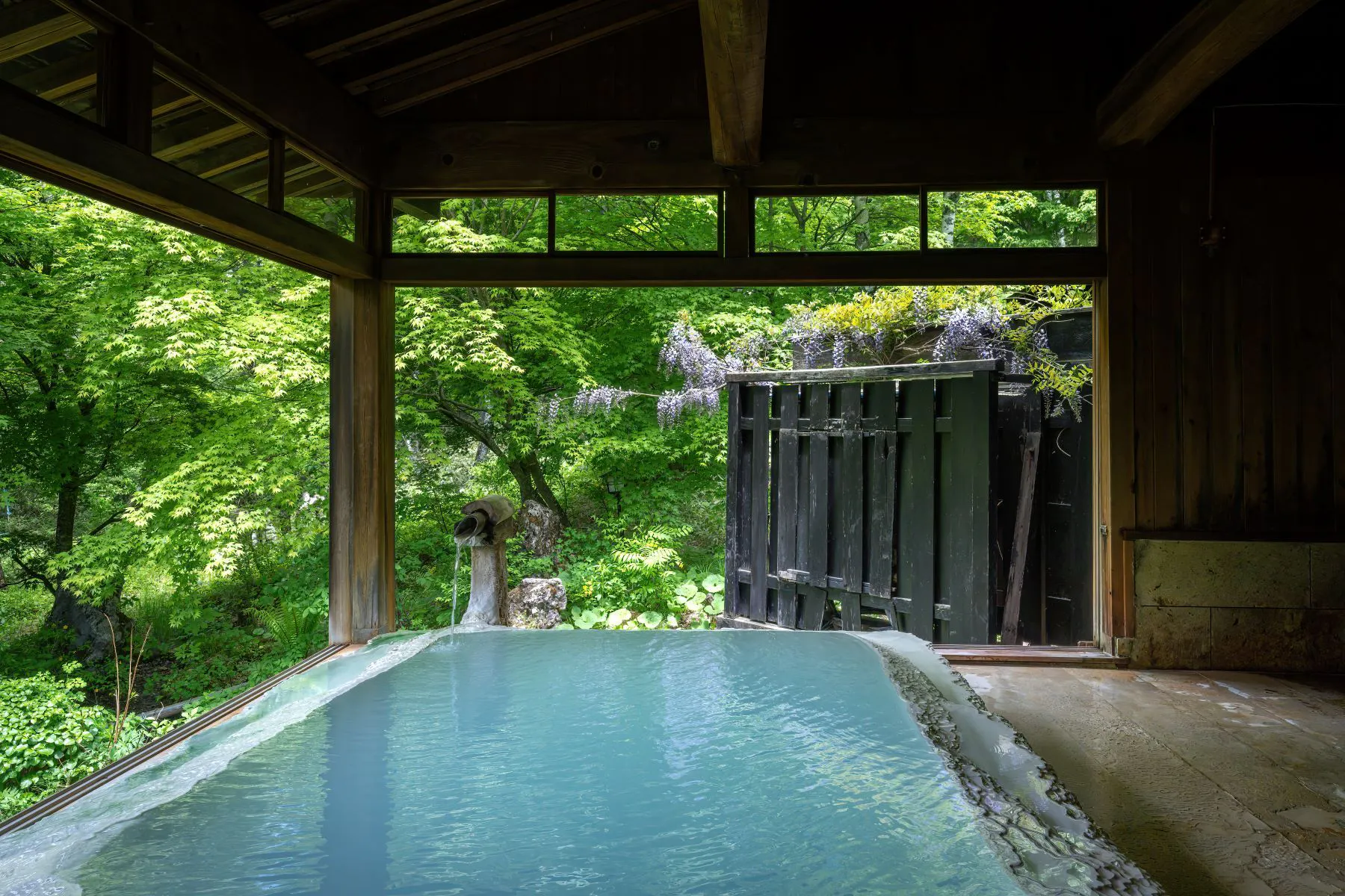 Shirahone Onsen Konashi no Yu Sasaya - 【오본 한정 플랜】올 여름은 시라호네로! 사사야에서 명탕을 ...