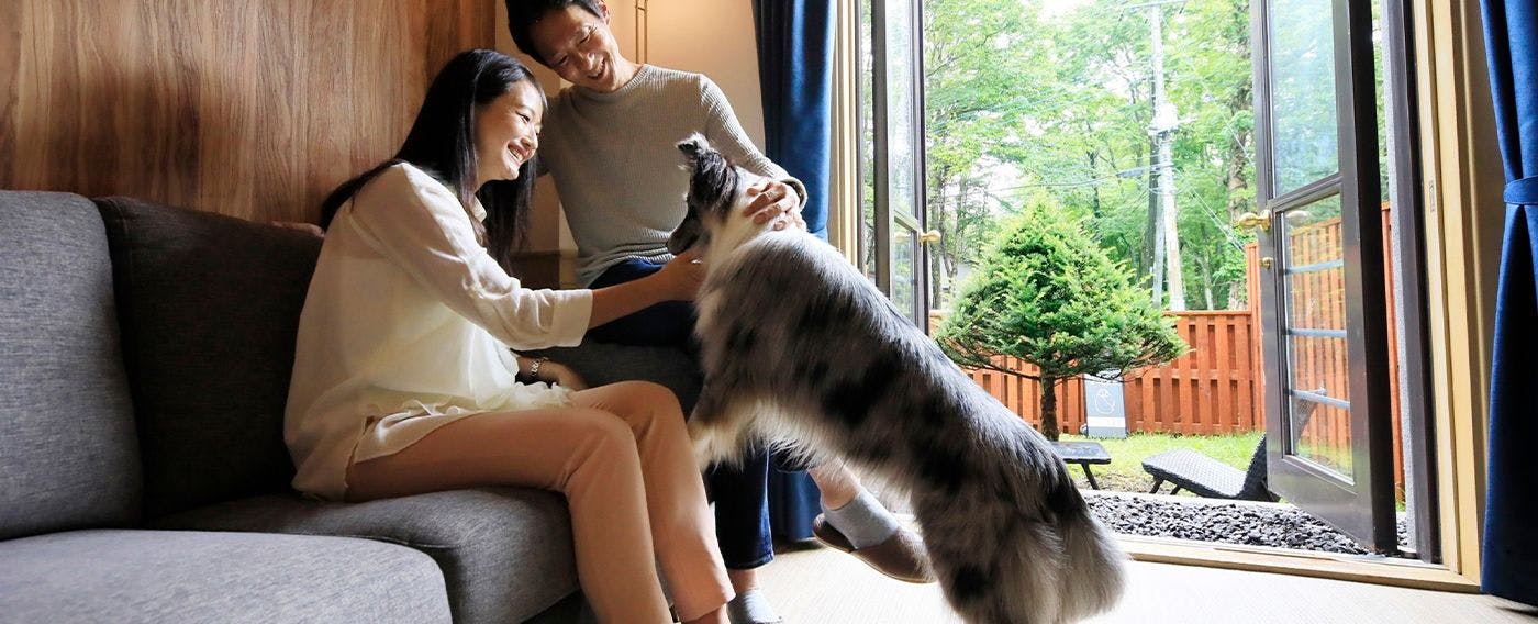 ตรวจสอบห้องว่างของ【Yutorelo Garden Kita-Karuizawa with DOGS】 - การจอง ...