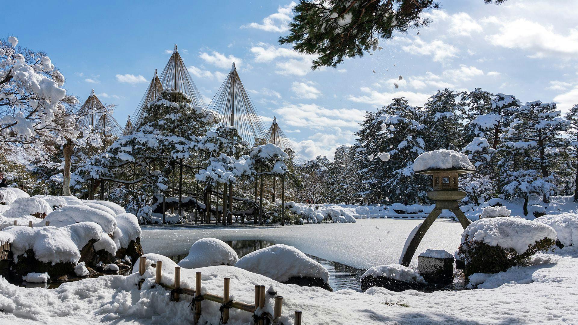 GoGoセール／36時間限定で全プランお得！【Yahoo!トラベル】