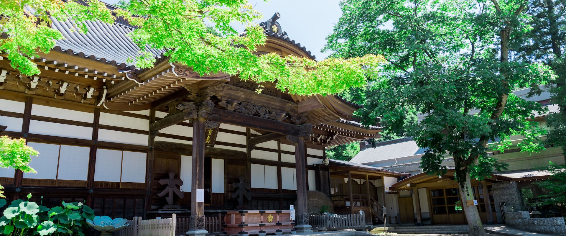 【2024年】調布の植物園で行きたい!調布旅行で人気のおすすめスポット Yahooトラベル