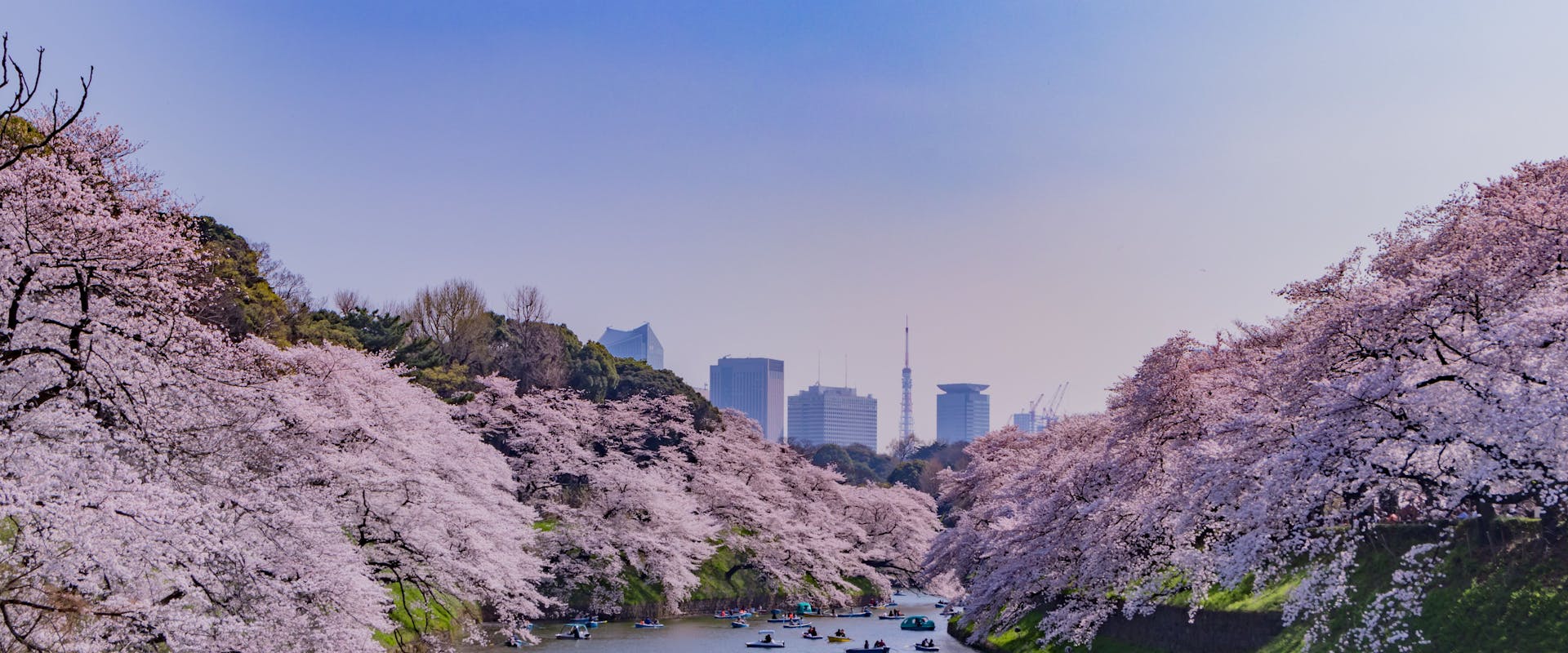 【全国の桜の名所】旅行で人気の観光スポットから普段のお出かけスポットまで日本各地の名所をご紹介! Yahooトラベル