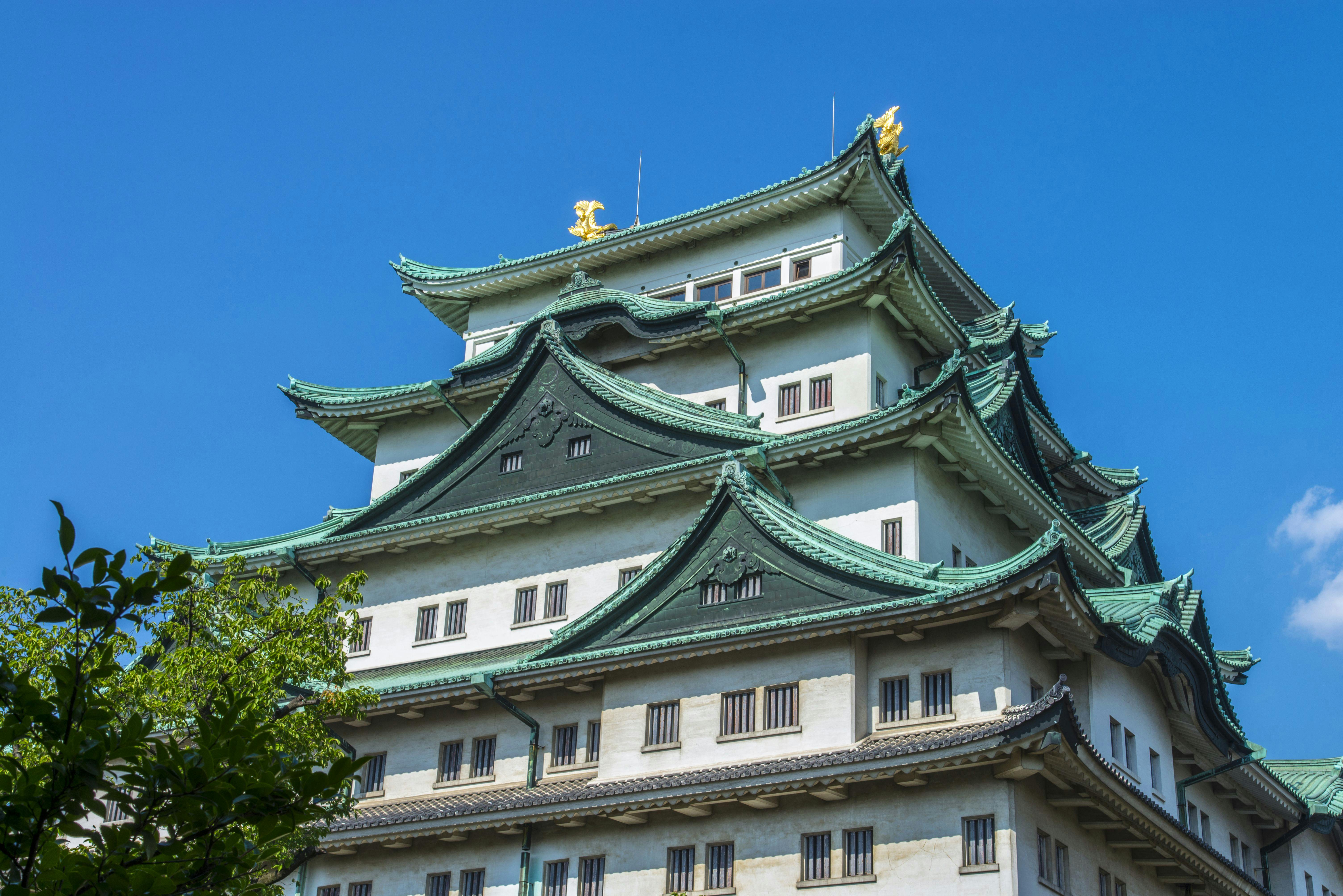 名古屋城 | 愛知 名古屋 おすすめの人気観光・お出かけスポット - Yahoo!トラベル