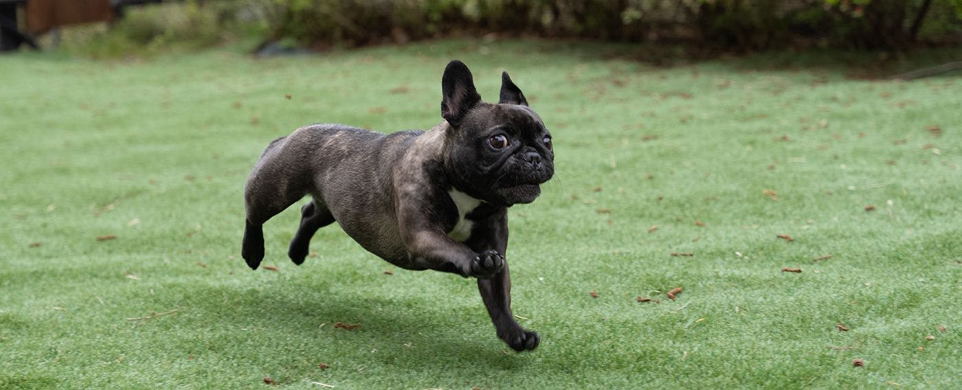 Noёl HAKONE GENSEN - 宿泊予約【Yahoo!トラベル】